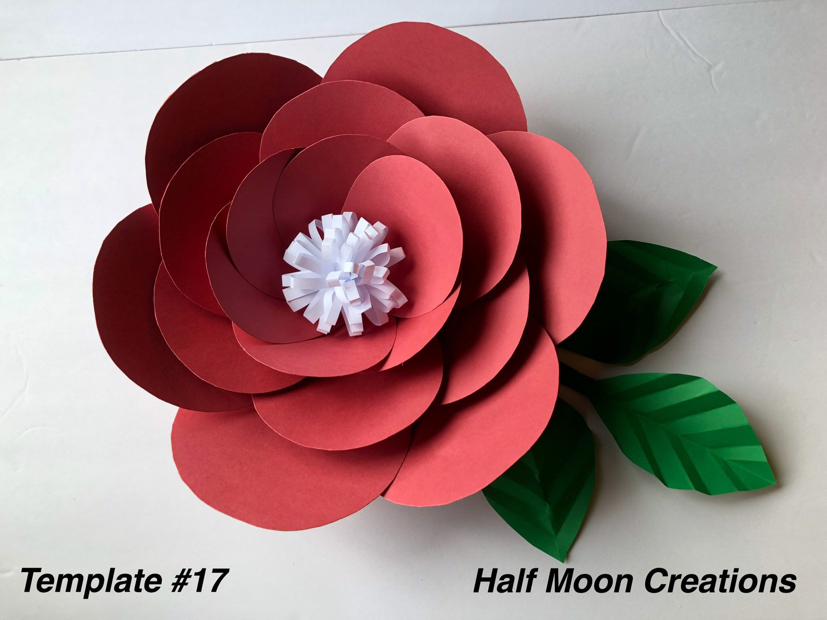 Paper Flower Template #17 Kit - DIY - Make Unlimited Flowers - Make All ...