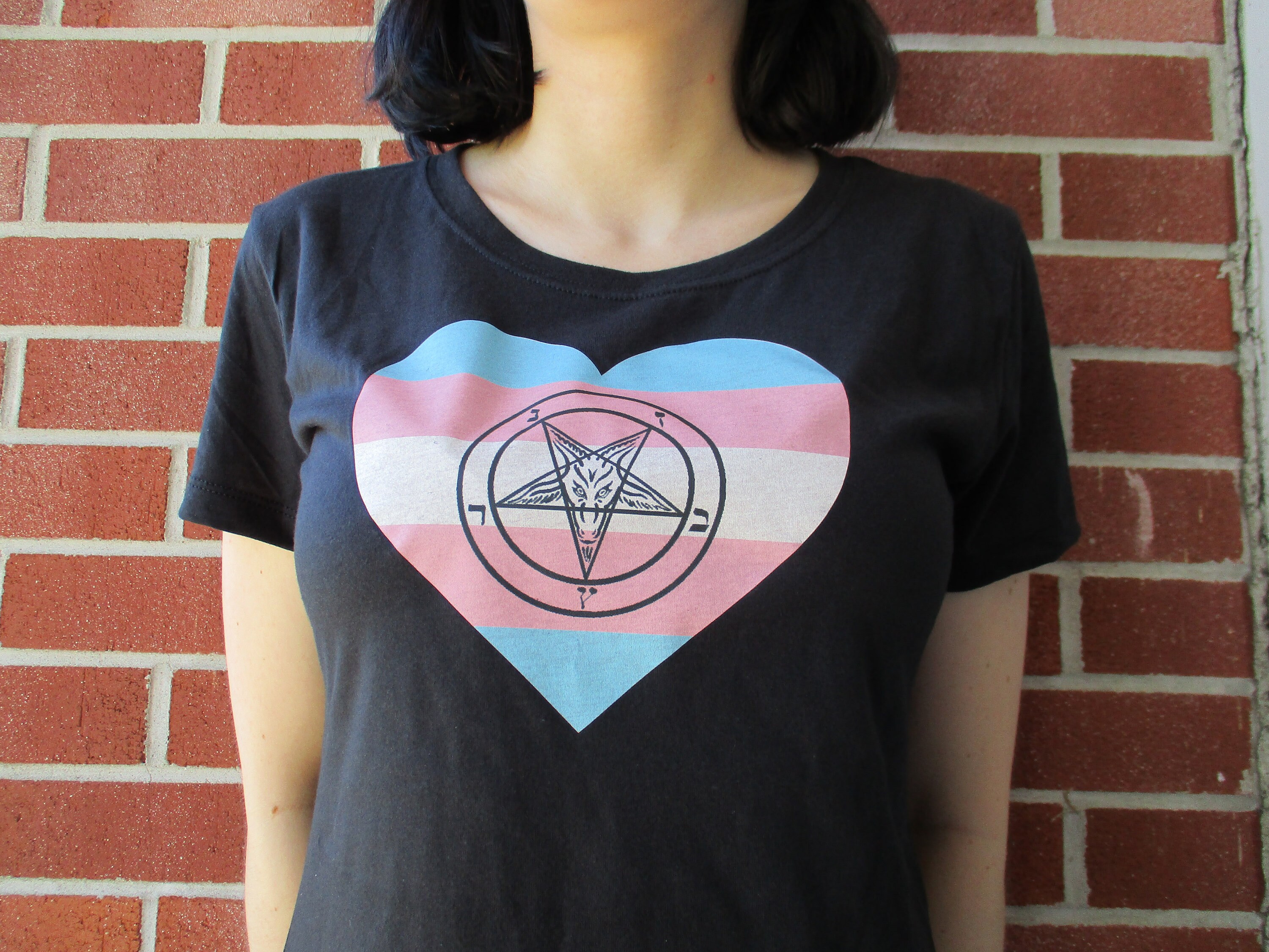 LGBTQA+ Trans Baphomet Sigil Pronoun HTV Heat Transfer Vinyl Graphic T ...