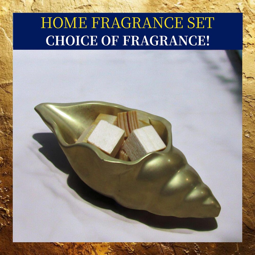 SHELL Wooden Potpourri Set. Choice of Fragrance Sea Shell Bowl With ...