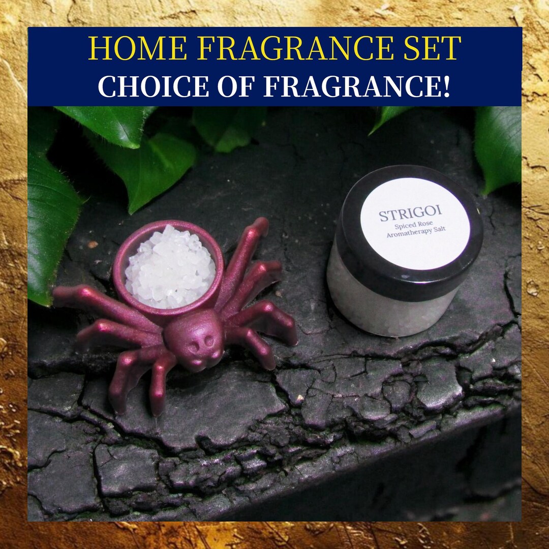 SPIDER Salt Potpourri Set. Spider Dish With Aromatherapy Scented Sea ...