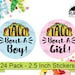 Taco Gender Reveal Taco Bout A Baby Party Stickers (24 Pack) 2.5 ...