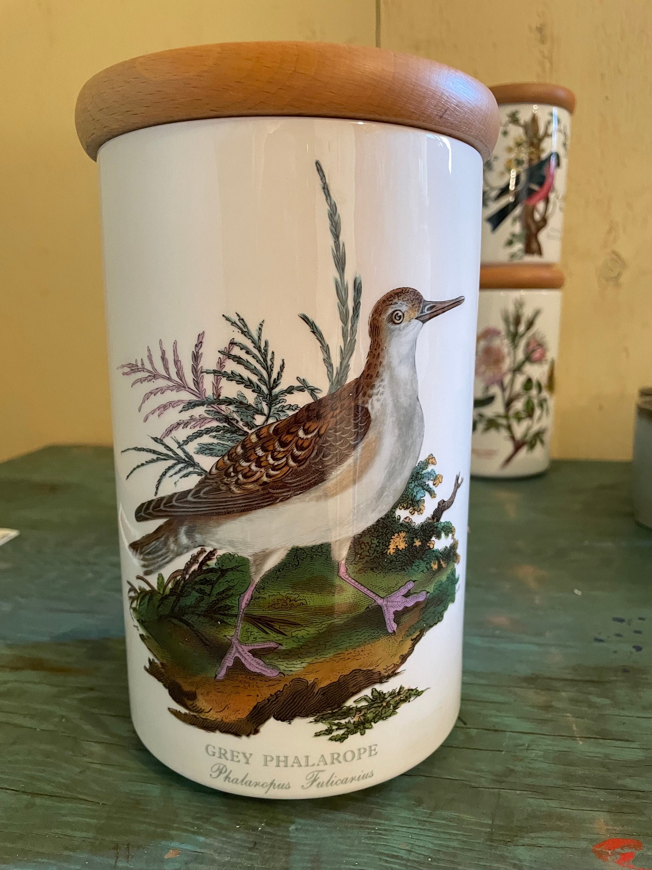 Vintage Portimer Bird Canister - Etsy