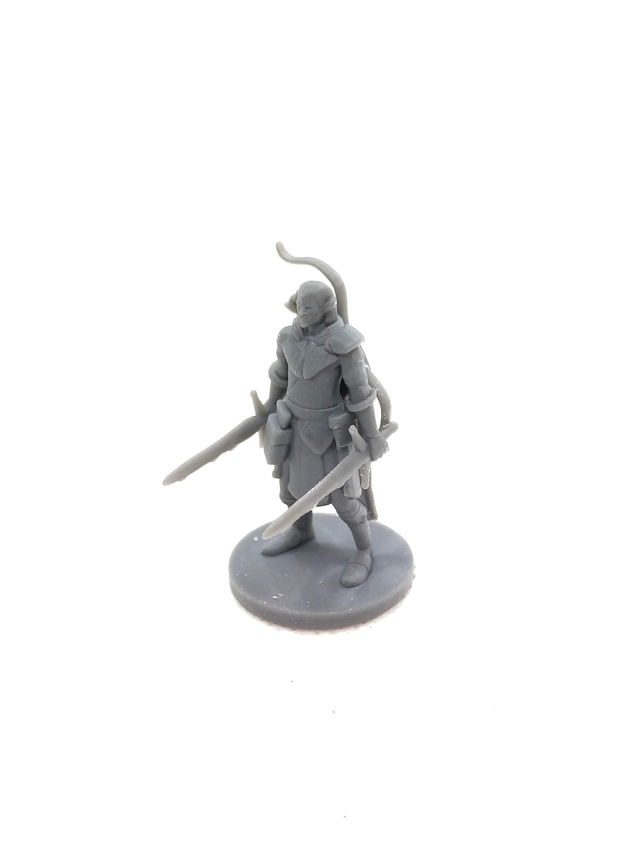 3D Printed Elf Male With Two Swords Miniature D&D 3D Printed - Etsy UK
