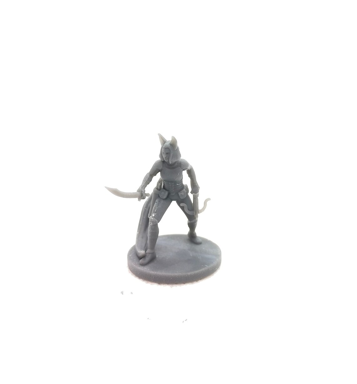 3D Printed Shifter Female Rogue Miniature D&D 3D Printed - Etsy UK