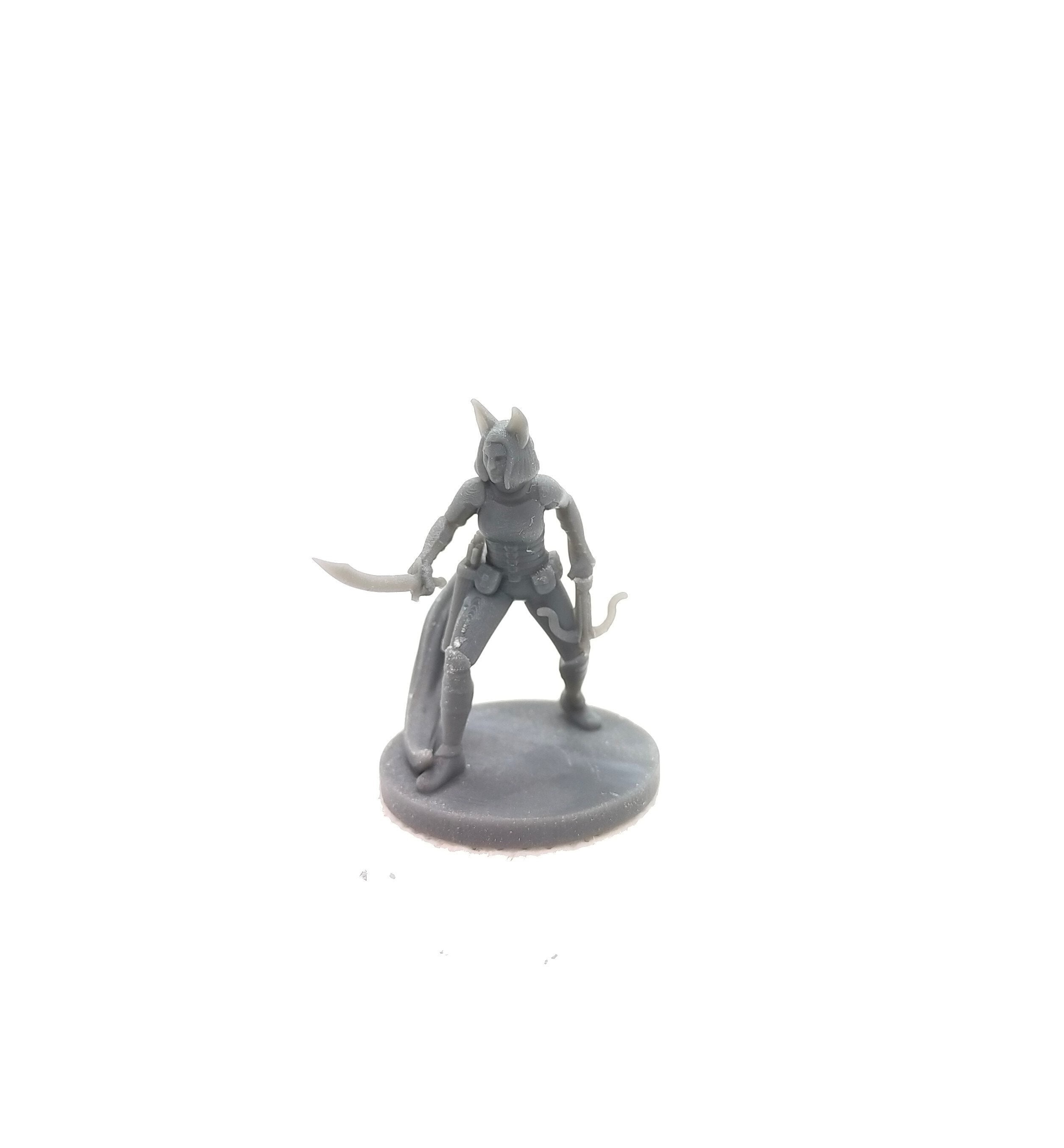 3D Printed Shifter Female Rogue Miniature D&D 3D Printed - Etsy UK