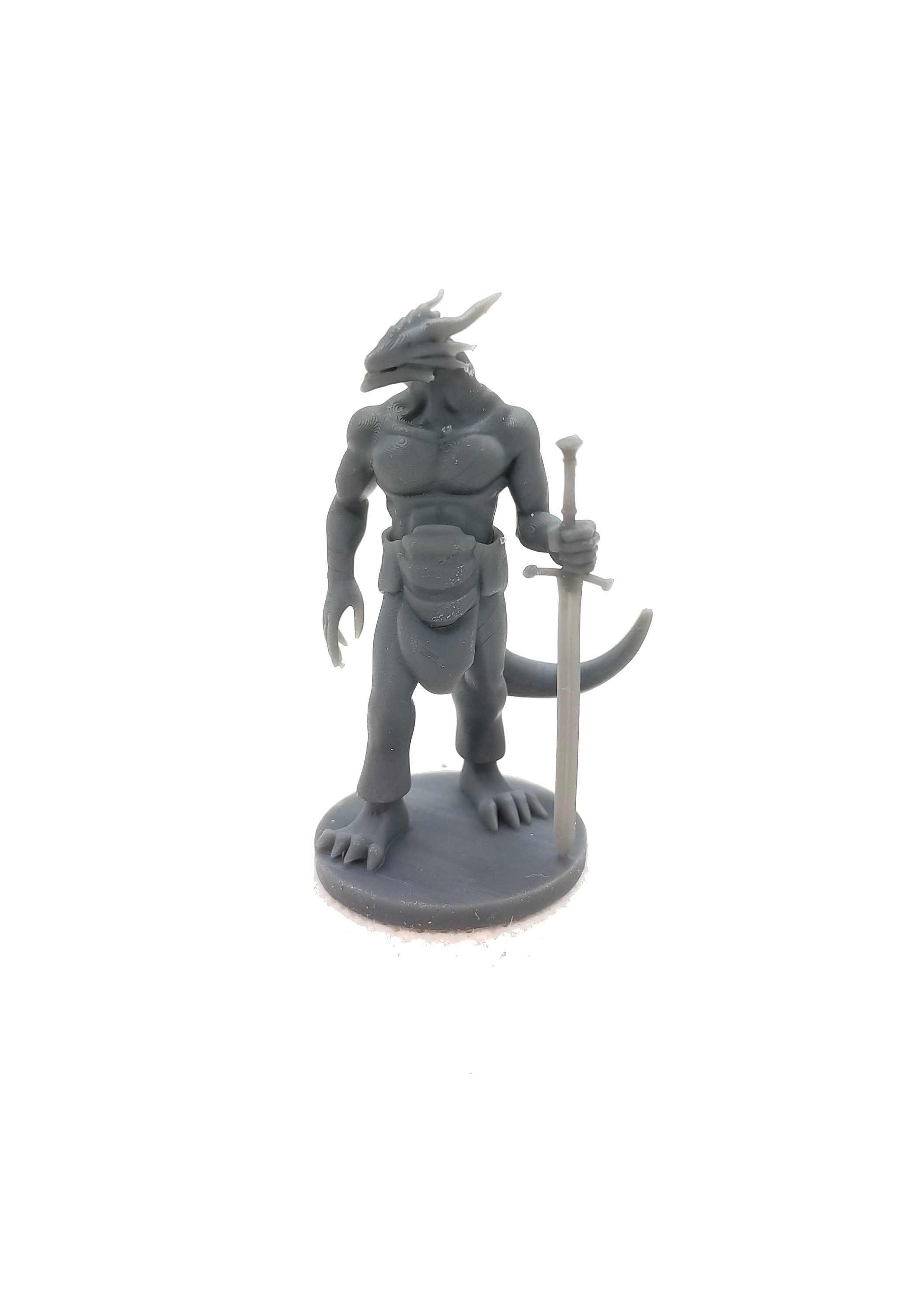 3D Printed Dragonborn Fighter Miniature, D&D, 3D Printed Custom Figure ...