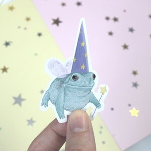 Magic Frogs Stickers Pack of 5 Frog Lover Sticker Set - Etsy