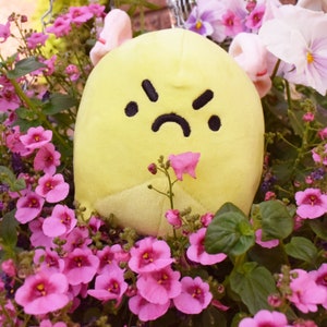 Grumpy the Angry Toad Plush Frog Plushie Round Little Amphibian Friend ...