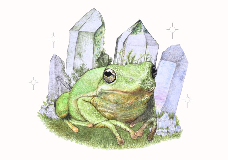Magic Frog A5 Print Crystals Hand Drawn Pencil Drawing - Etsy