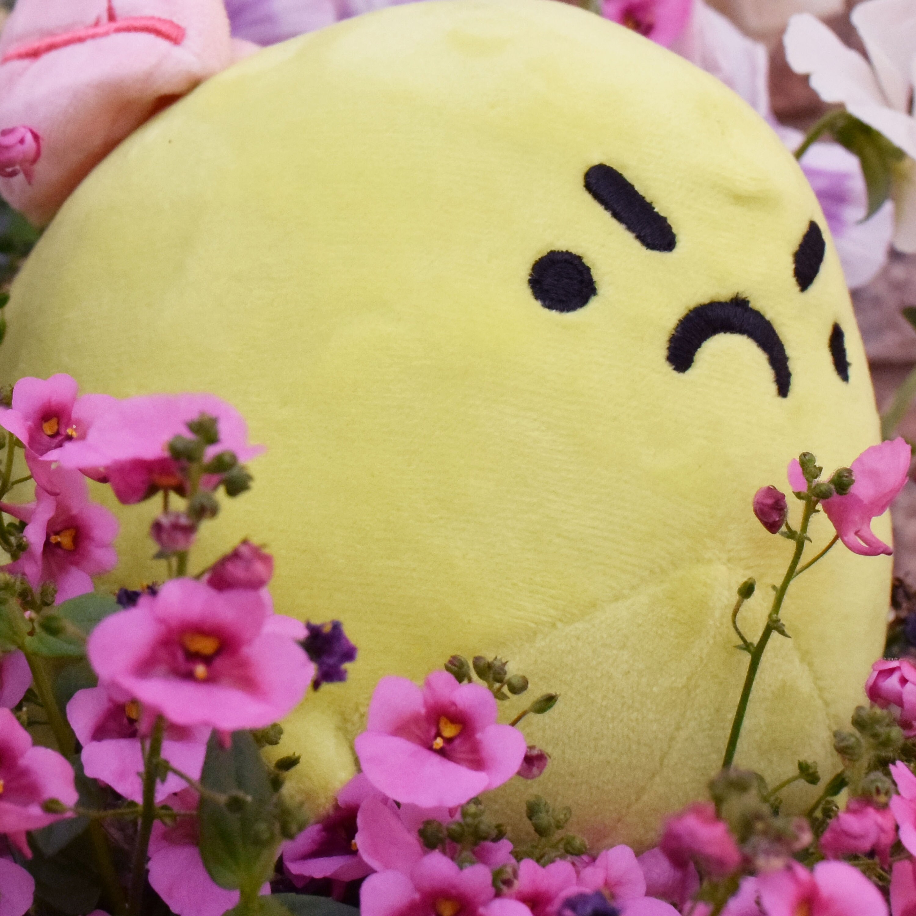 Grumpy the Angry Toad Plush Frog Plushie Round Little - Etsy