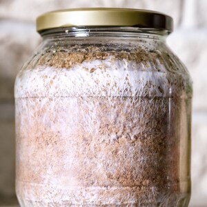 10 G Fresh OREGON BLACK TRUFFLE Mycelium Leucangium - Etsy Canada