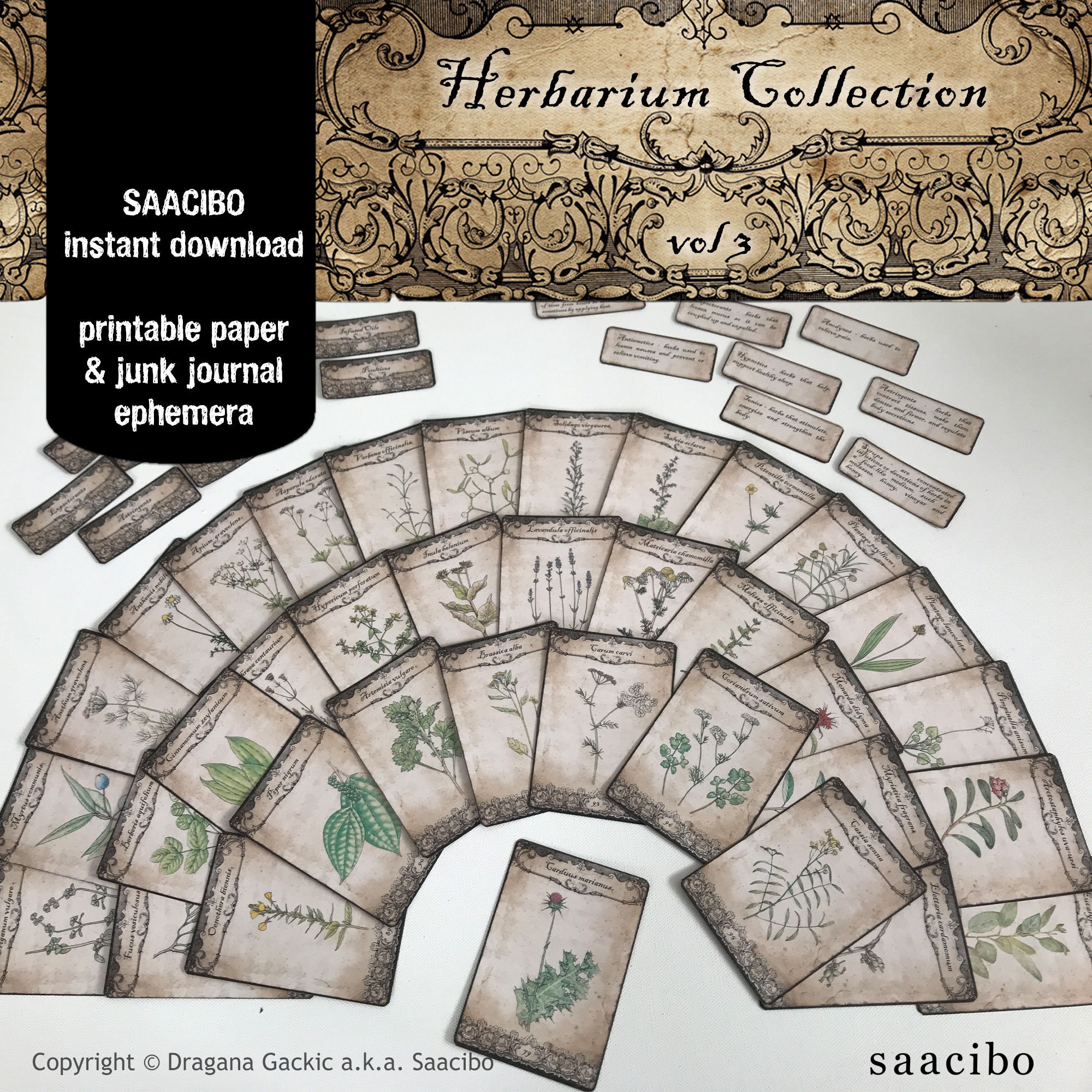 Healing Herbal Cards VOLUME 3 Ephemera Classics Printable - Etsy