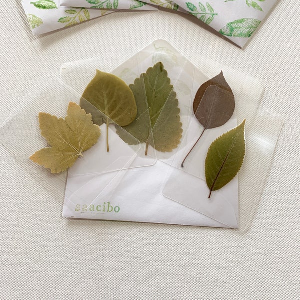 Pressed Leaves - Etsy