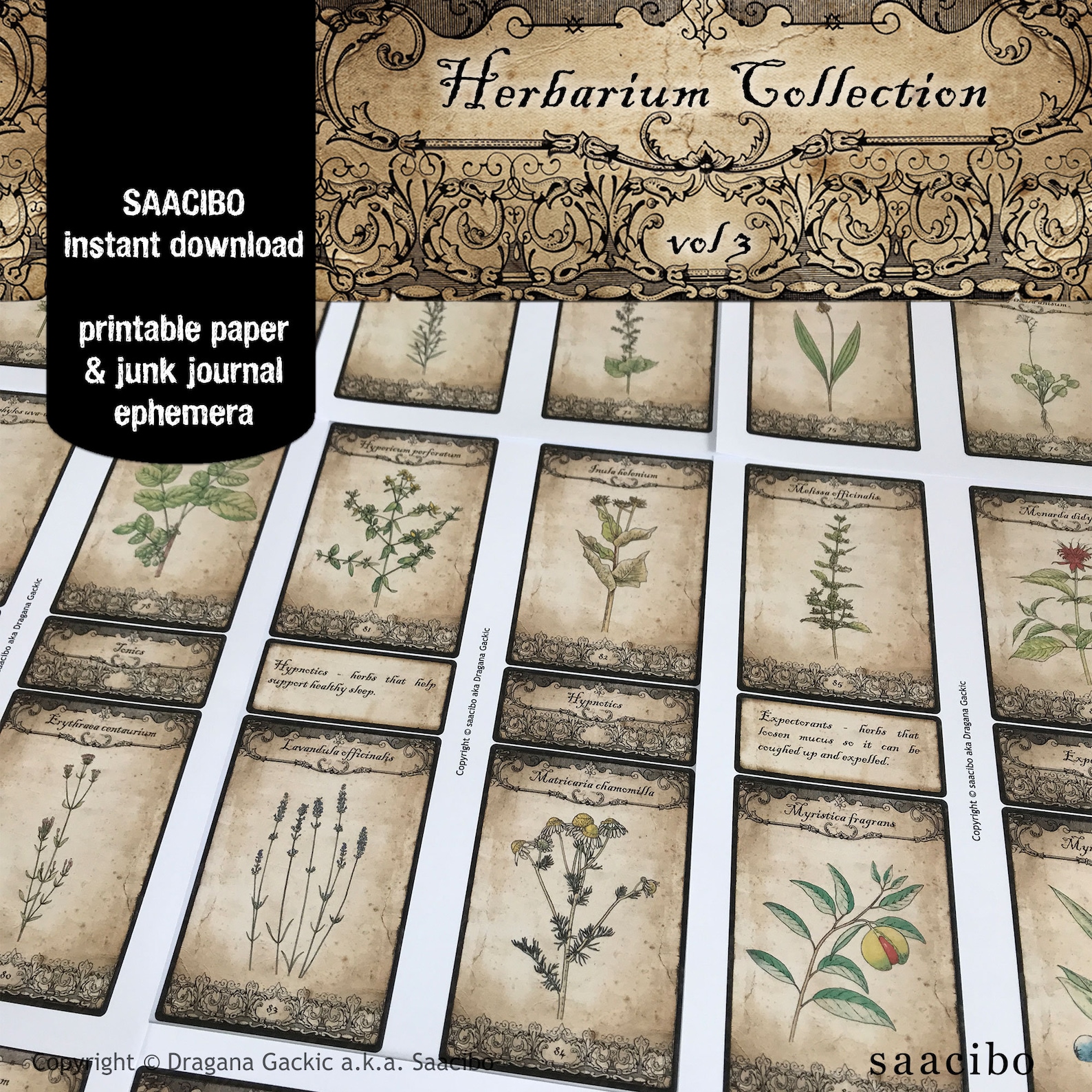 Healing Herbal Cards VOLUME 3 Ephemera Classics Printable - Etsy