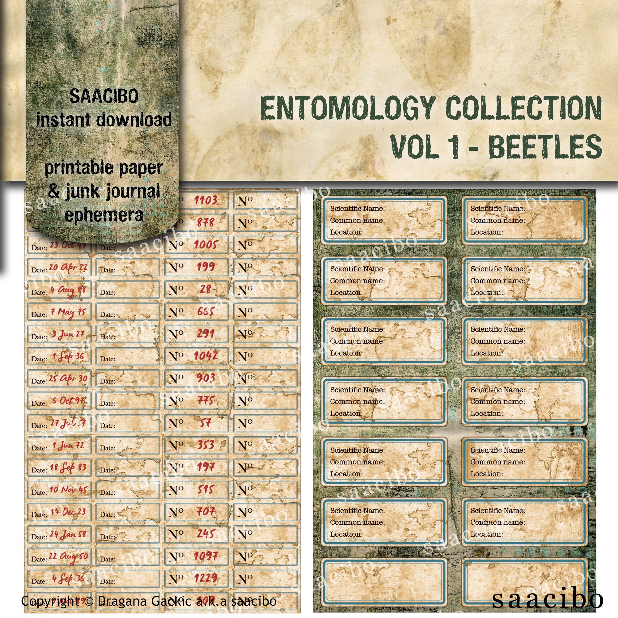 Beetle Specimen Cards, Printable Entomology Collection (digital ...