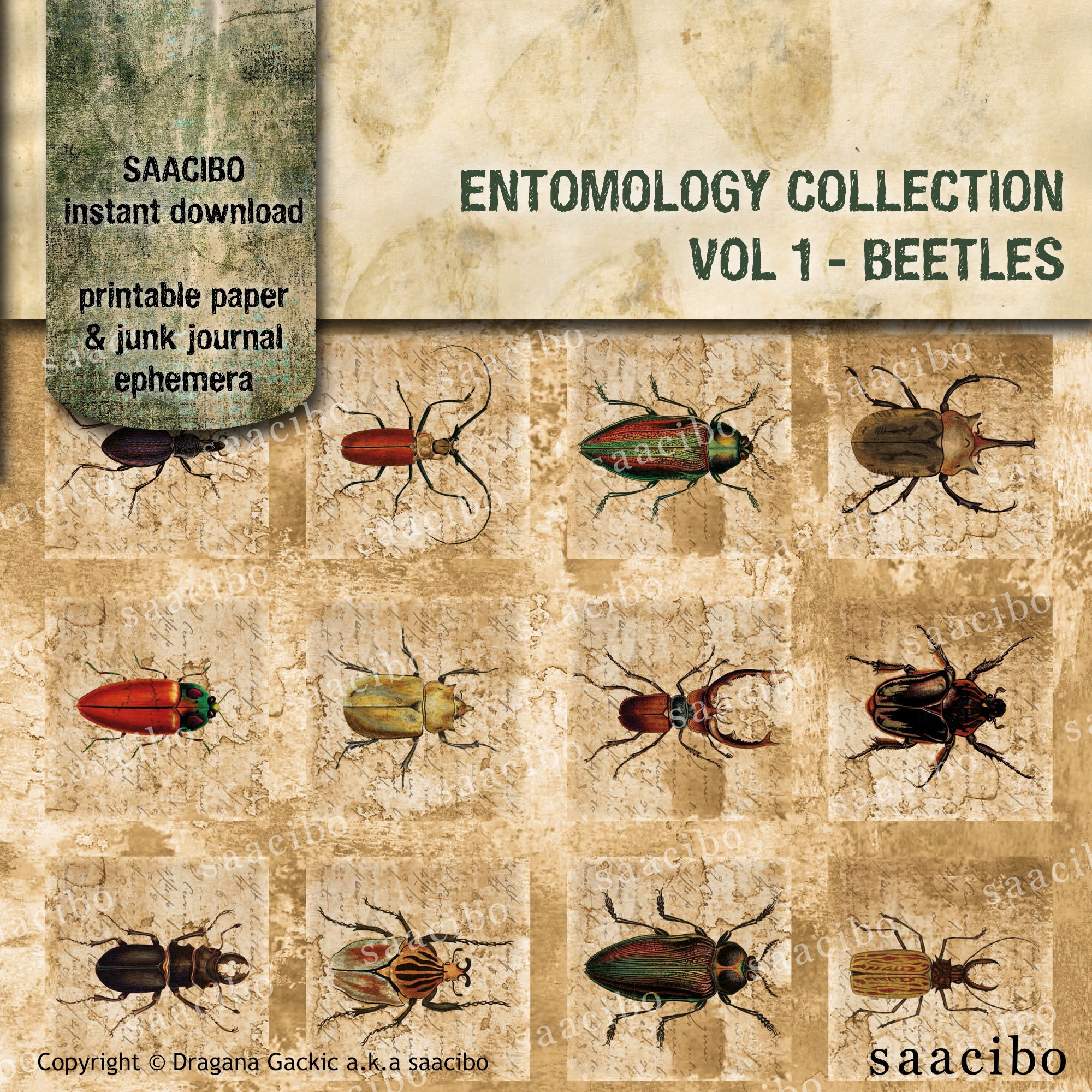 Entomology Collection VOL 1 Beetles A4 Format Specimen - Etsy