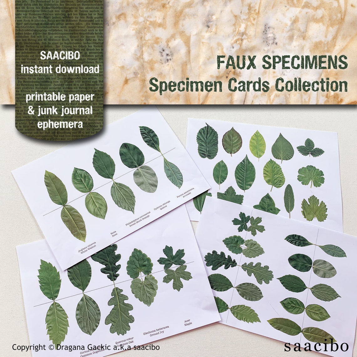 Faux Specimens, Specimen Cards Collection, Eco Dyed Papers, Printable ...