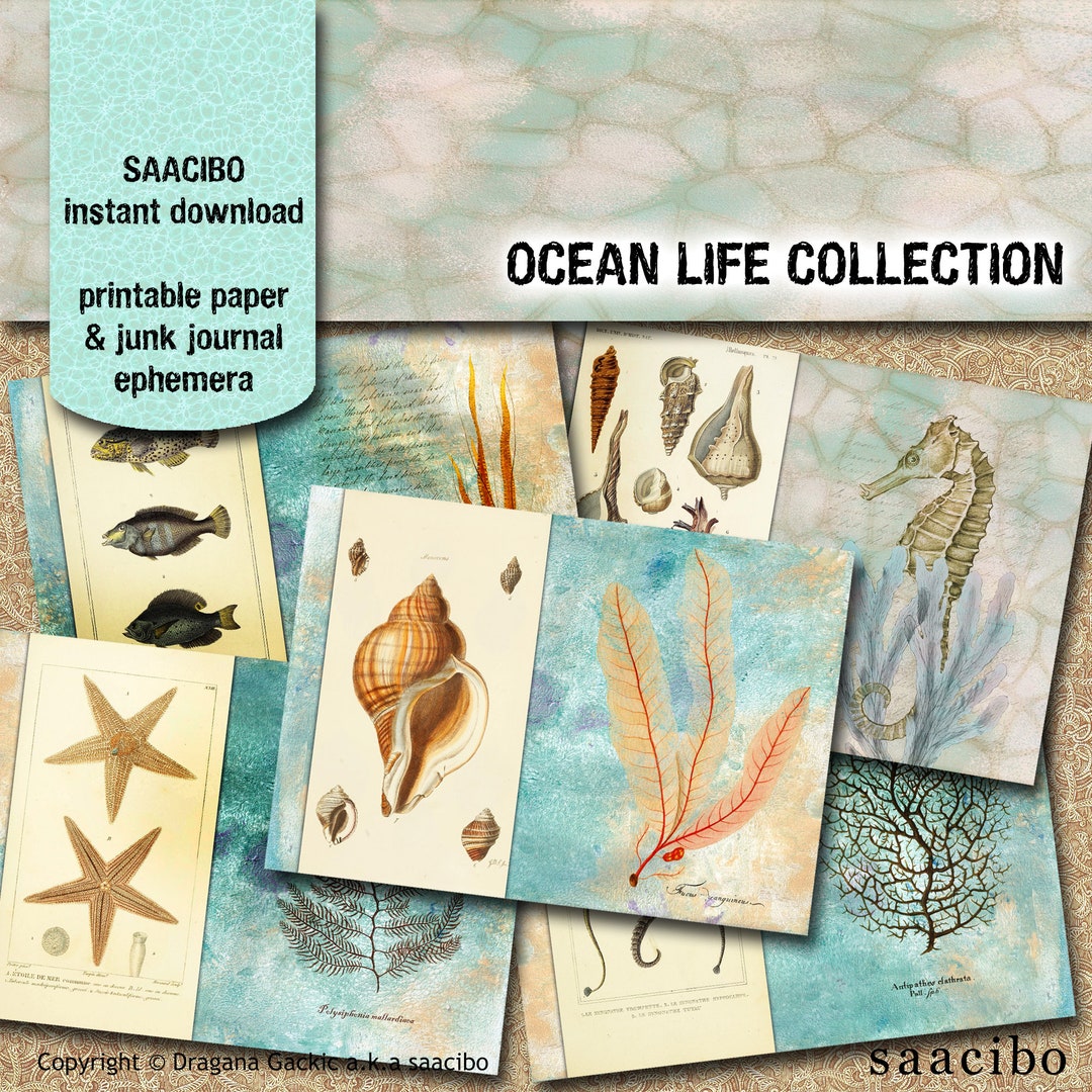 Ocean Life Collection, Nautical Themed, Sea Creatures, Printable Images ...