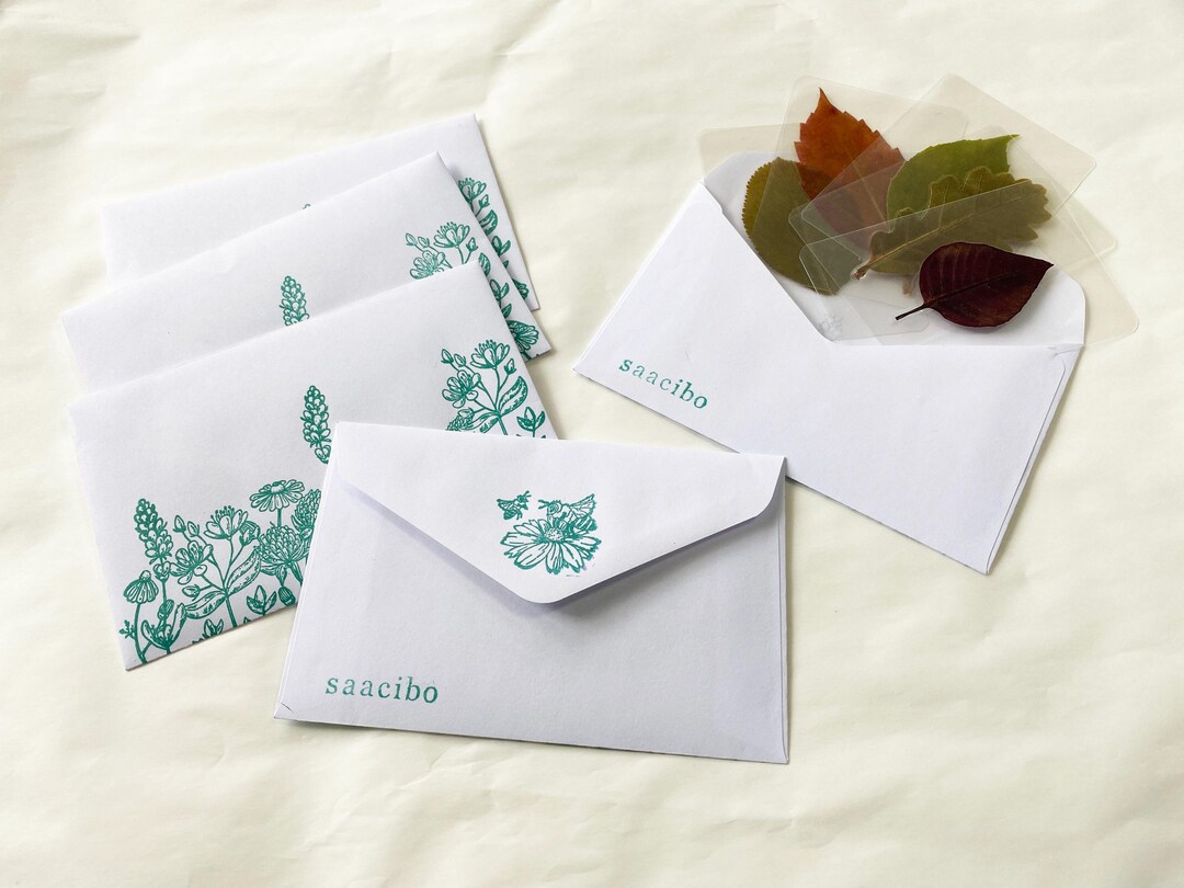 Dried Pressed and Laminated Leaf Specimens - Set of 5 Specimens in 1 ...