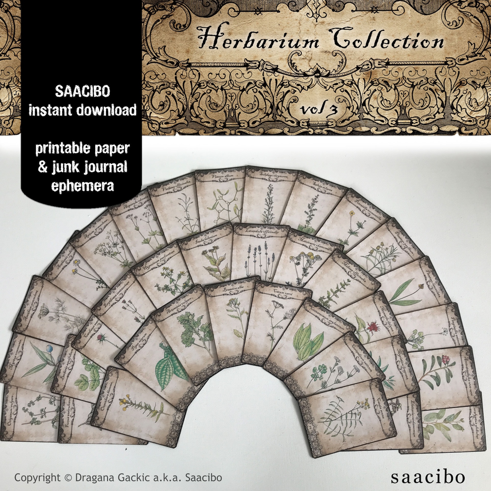 Healing Herbal Cards VOLUME 3 Ephemera Classics Printable - Etsy