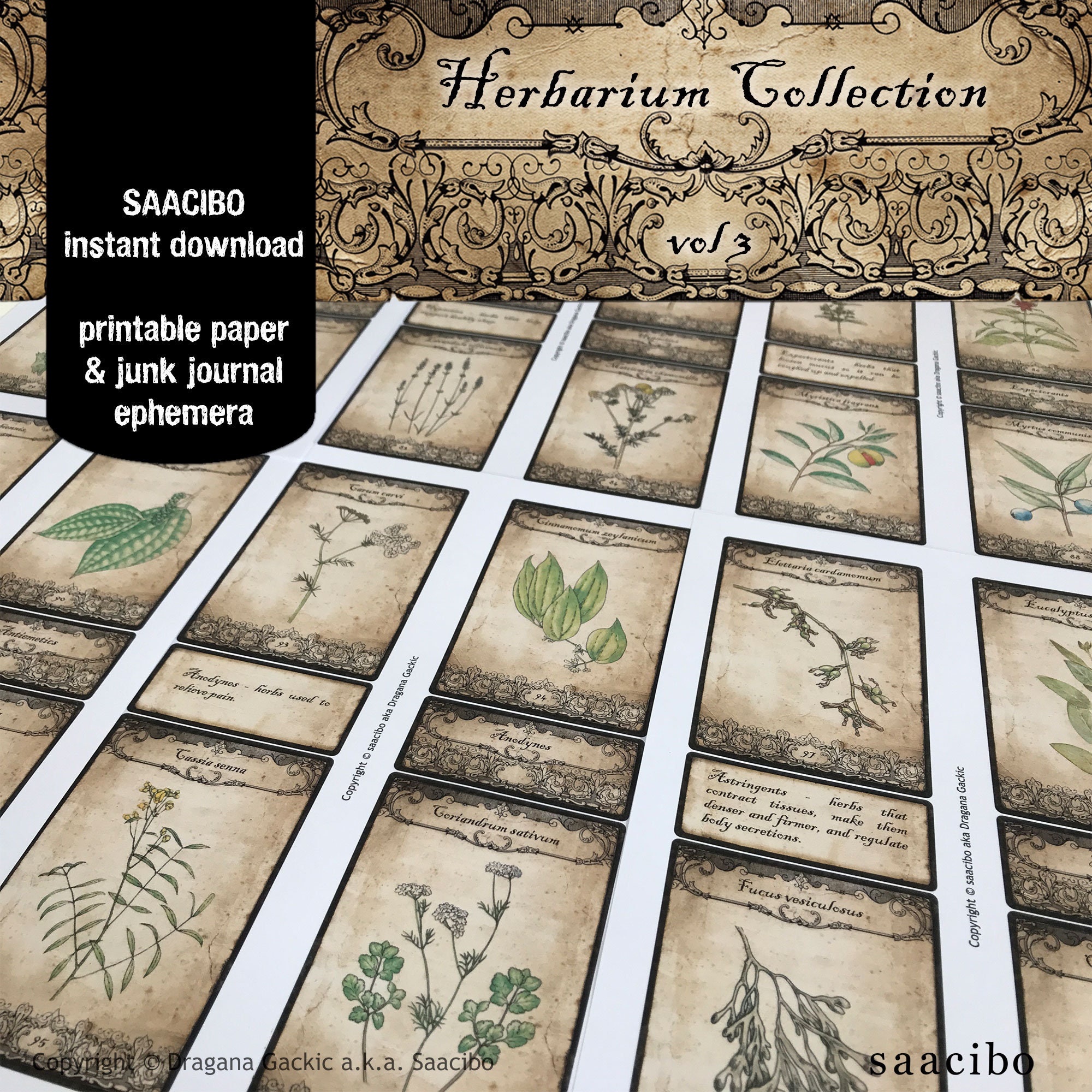Healing Herbal Cards VOLUME 3 Ephemera Classics Printable - Etsy