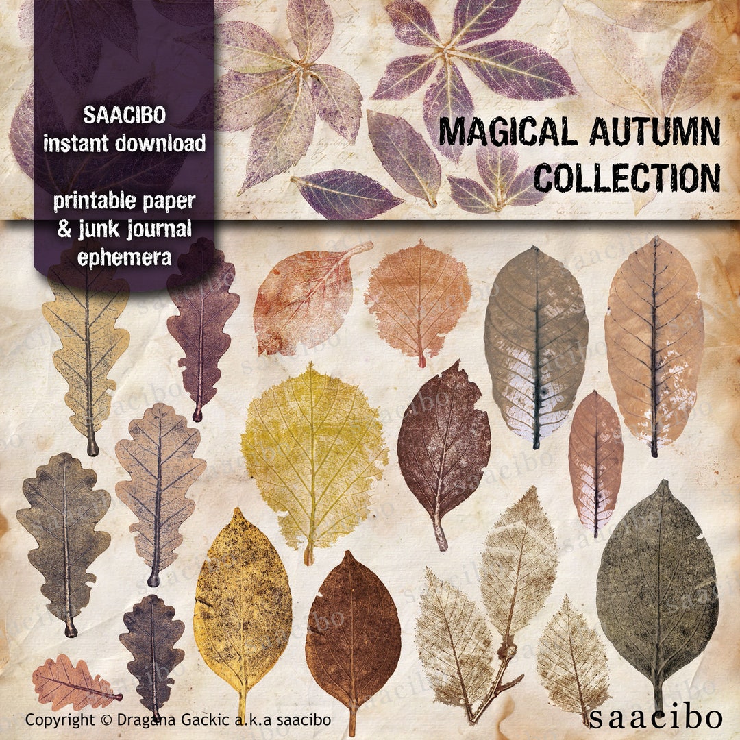 Magical Autumn Collection, Printable Images, Instant Download, Digi Kit ...