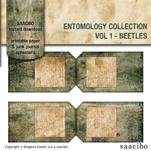 Entomology Collection, VOL 1, Beetles, A4 Format, Specimen Cards ...
