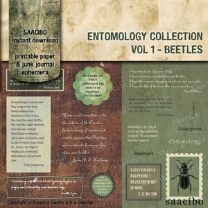 Entomology Collection, VOL 1, Beetles, A4 Format, Specimen Cards ...