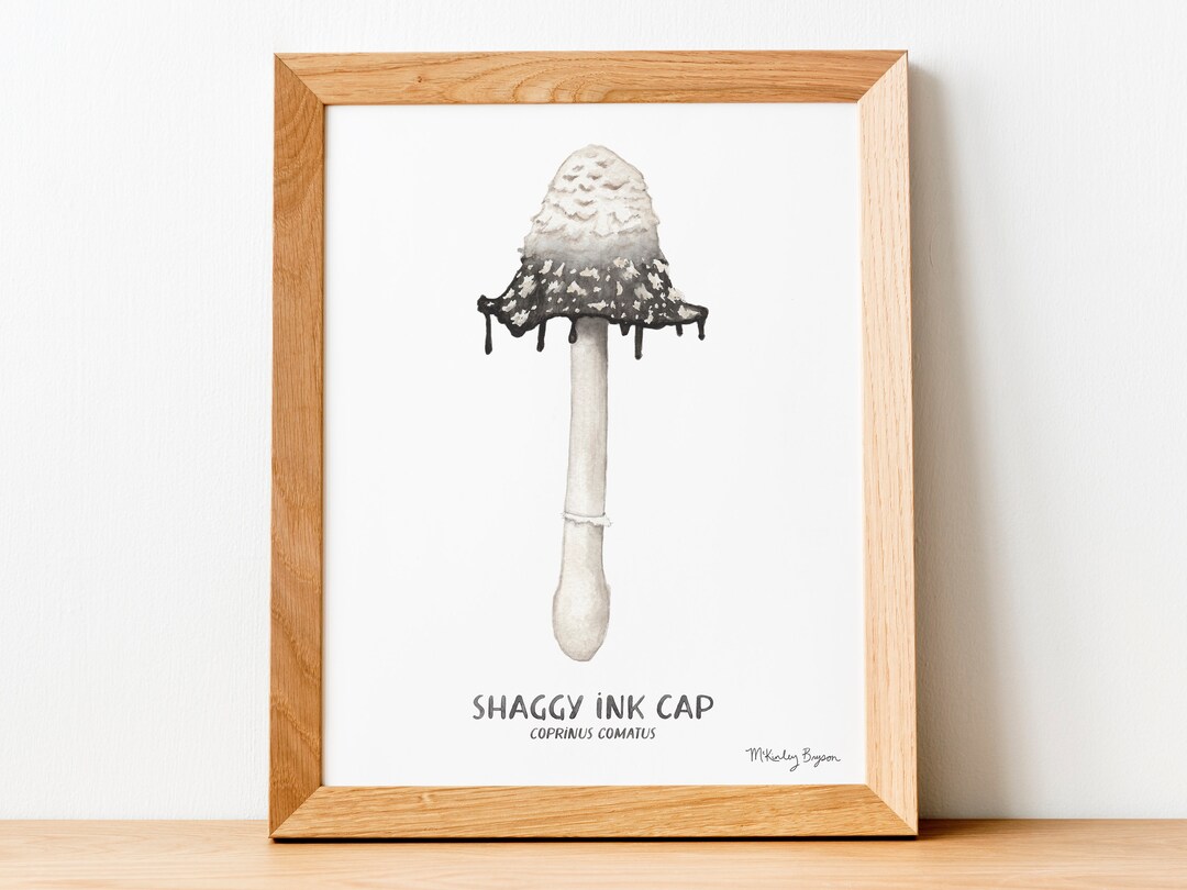 Shaggy Ink Cap Mushroom Watercolor Art Print, Mushroom Painting ...