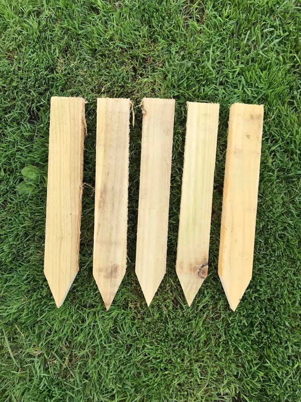 8 Pack Treated Pegs Wooden Stake Posts 12 36 in | Etsy