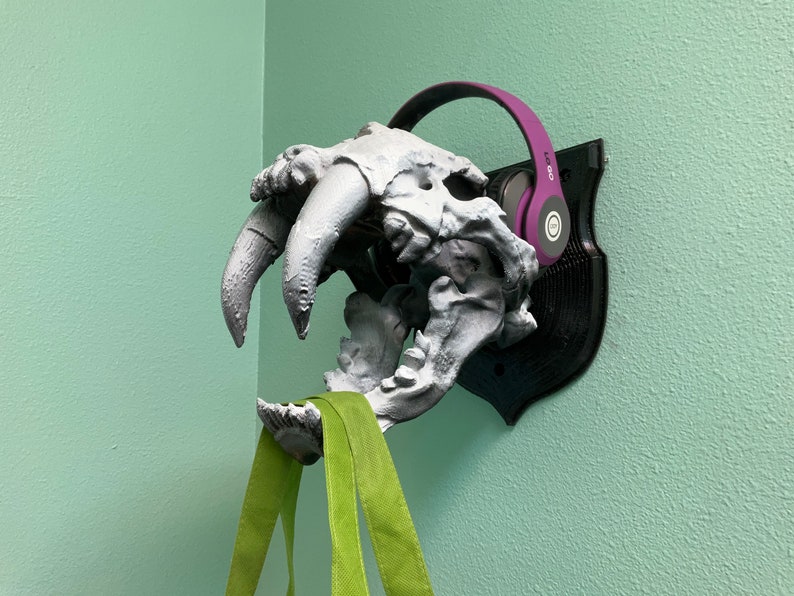 Sabertooth Tiger Skull Wall Hanger! Prehistoric Smilodon Stand Like ...