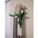 Elegant Ukulele Wall Mount. Display Any Soprano Uke Upright Storage for ...