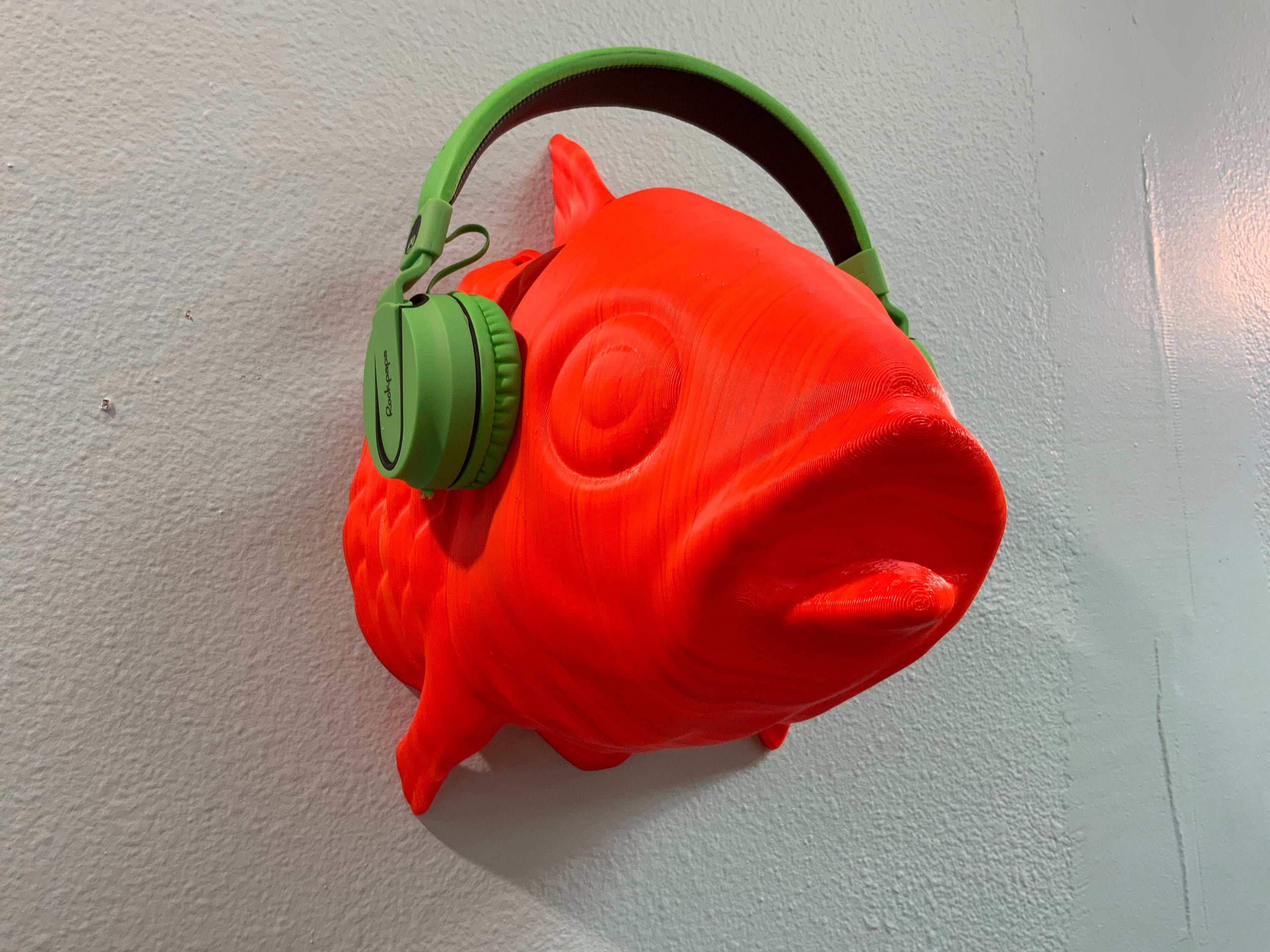 Goldfish Headphone Wall Hanger! Fish Stand Like Loach/pleco/minnow/carp ...