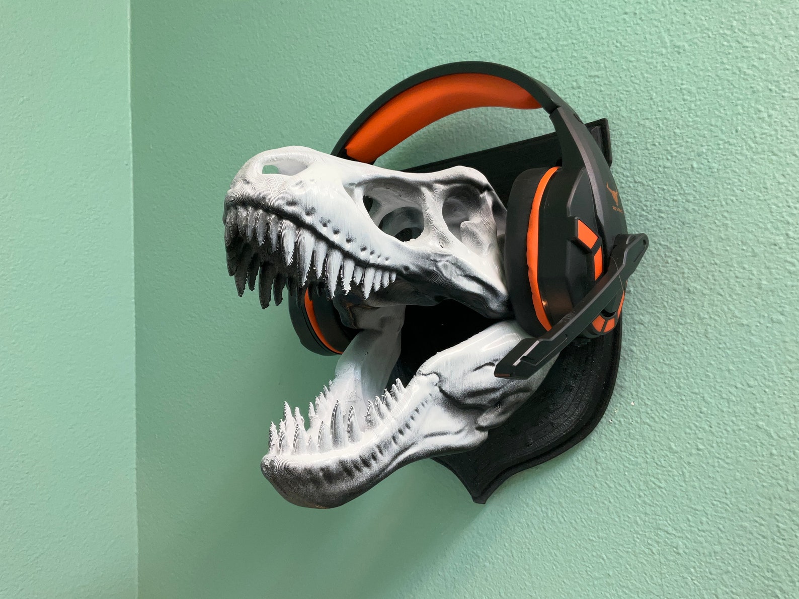 T-rex Skull Wall Hanger Tyrannosaur Dinosaur Stand Like - Etsy