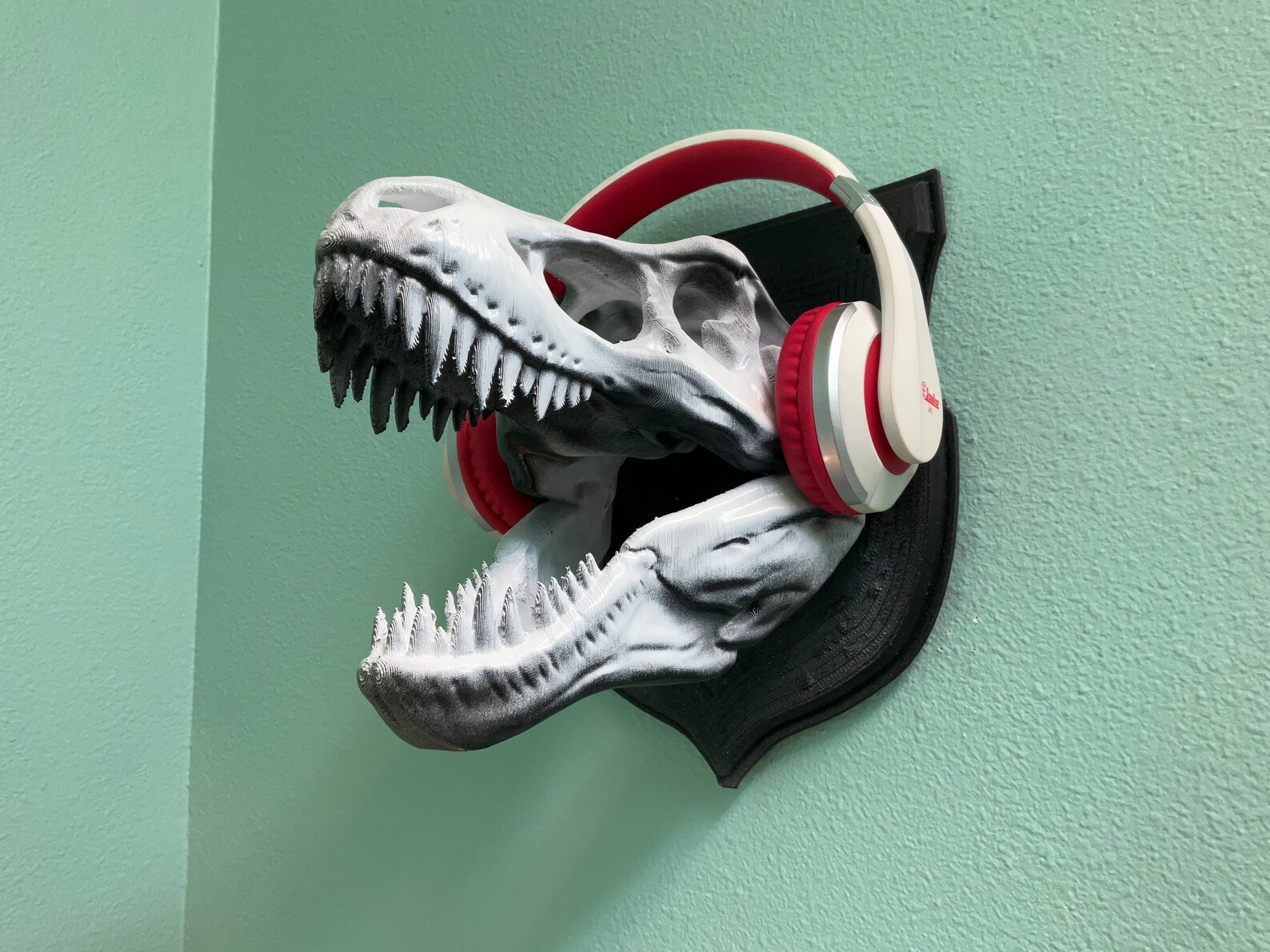 T-rex Skull Wall Hanger! Tyrannosaur Dinosaur Stand Like Stegosaurus ...