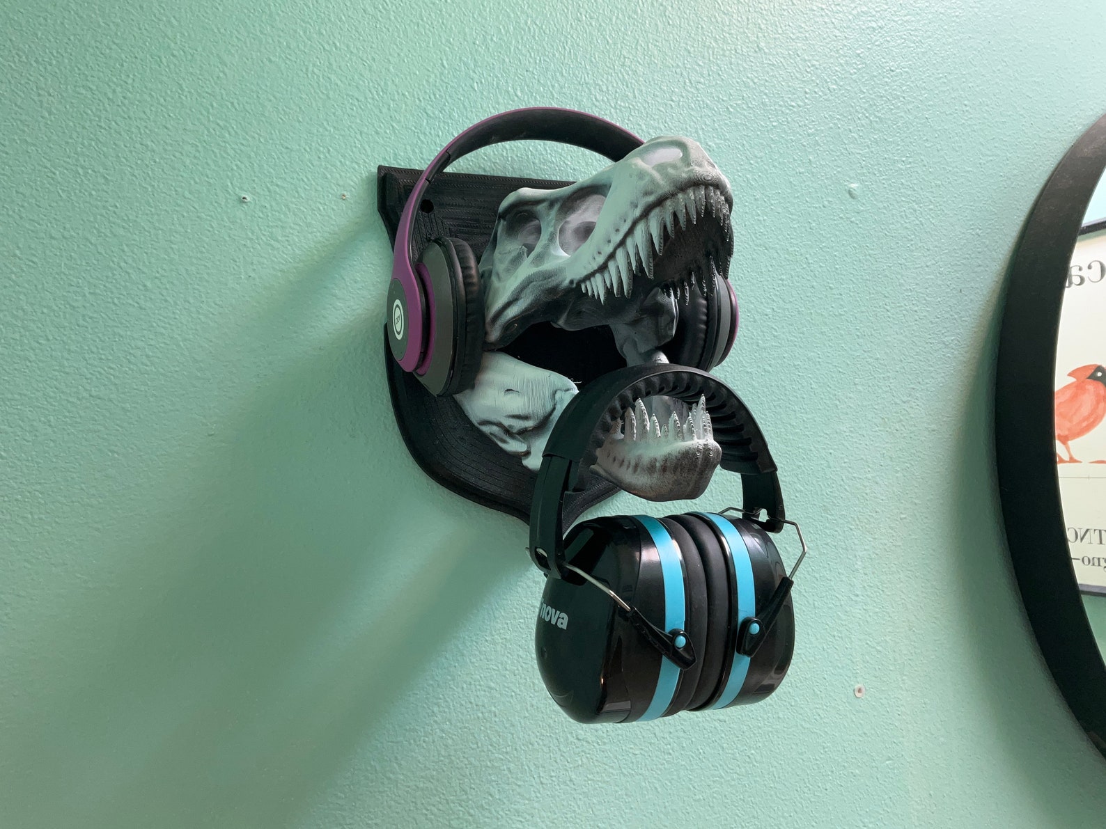 T-rex Skull Wall Hanger Tyrannosaur Dinosaur Stand Like - Etsy