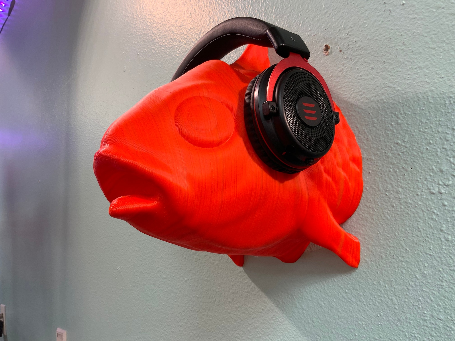 Goldfish Headphone Wall Hanger! Fish Stand Like Loach/pleco/minnow/carp ...