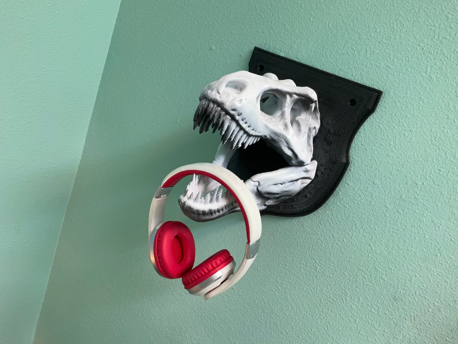 T-rex Skull Wall Hanger! Tyrannosaur Dinosaur Stand Like Stegosaurus ...
