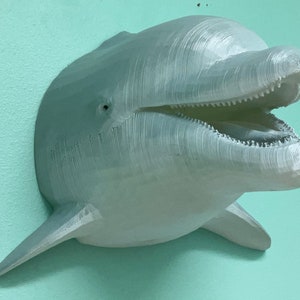 Lifesize Dolphin Wall Mount - Quirky Oceanic Decor - Etsy