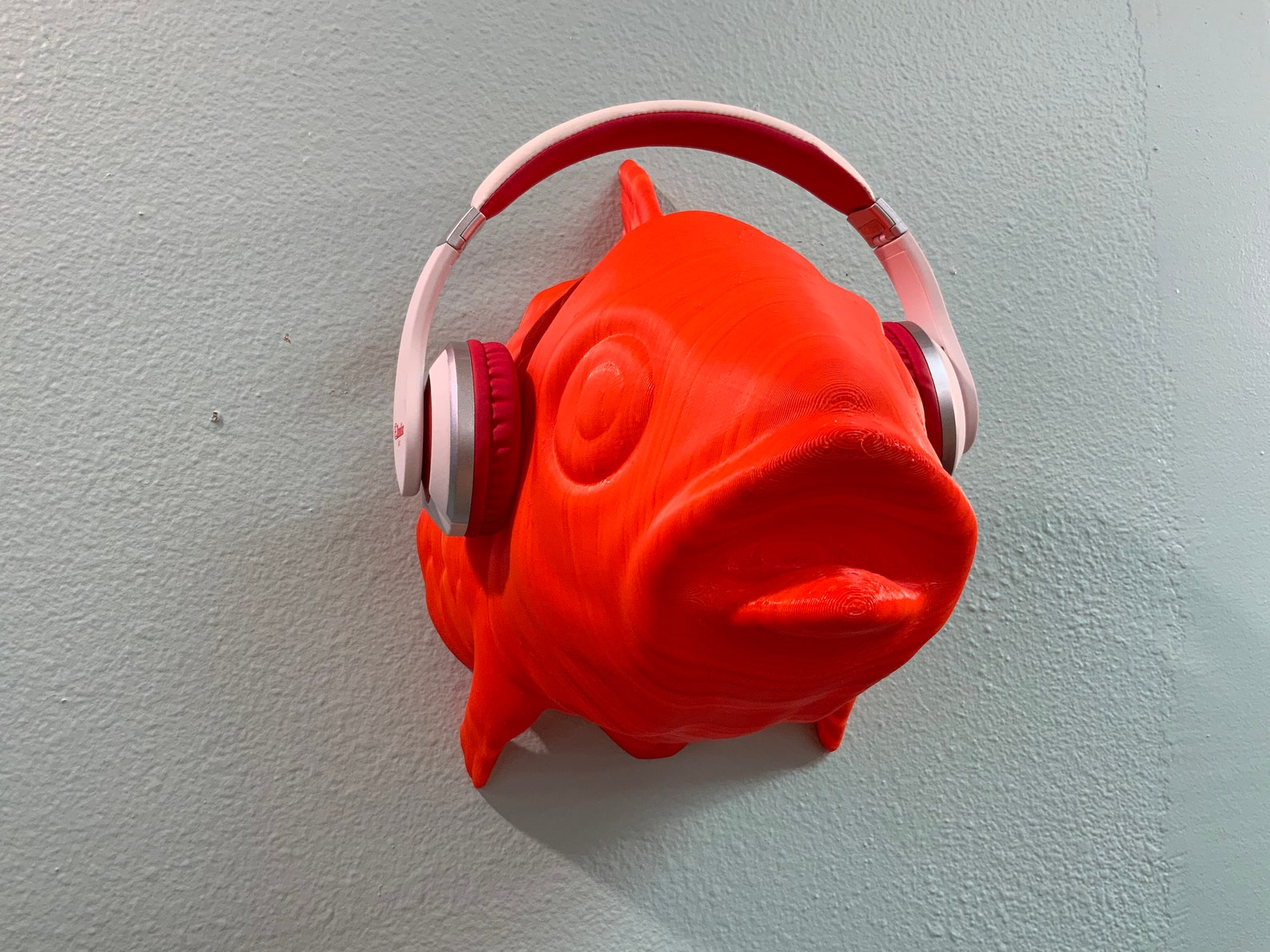 Goldfish Headphone Wall Hanger! Fish Stand Like Loach/pleco/minnow/carp ...