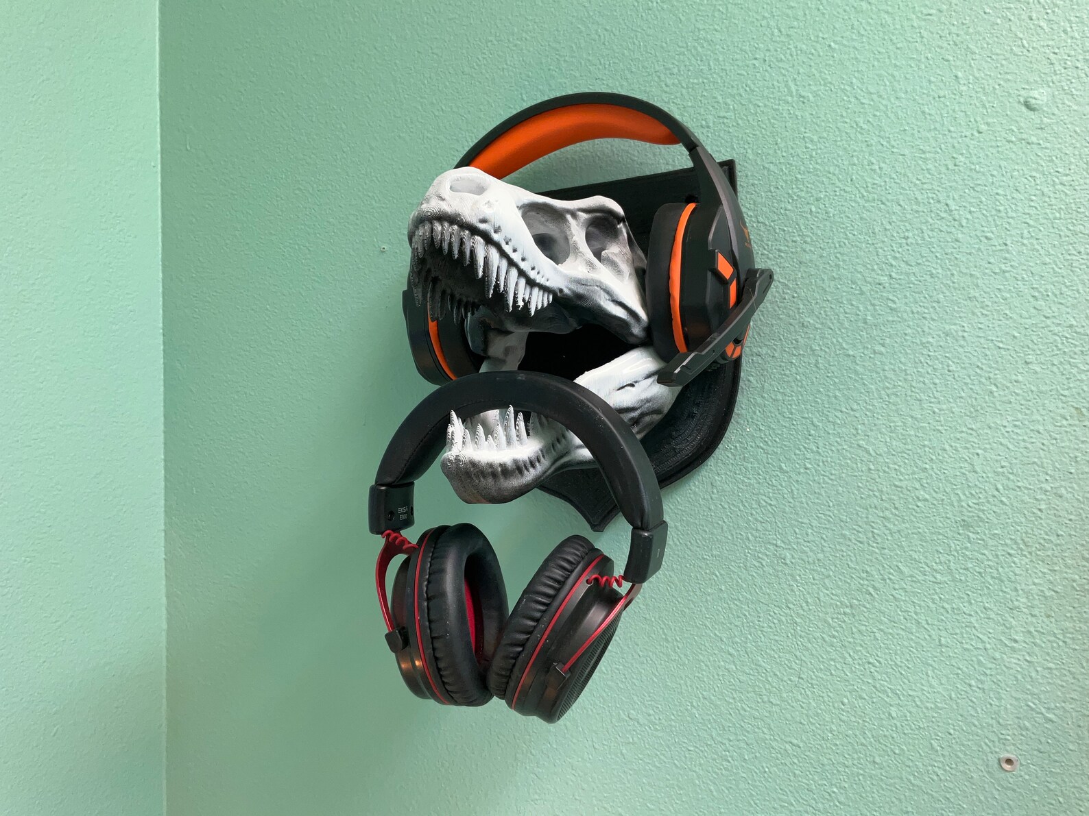 T-rex Skull Wall Hanger Tyrannosaur Dinosaur Stand Like - Etsy