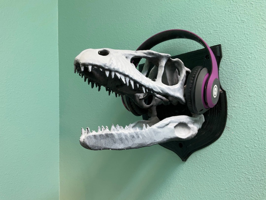 Raptor Skull Wall Hanger! Velociraptor Dinosaur Stand Like Stegosaurus ...