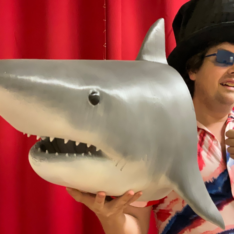 Shark Wall Decor Cardboard - Etsy