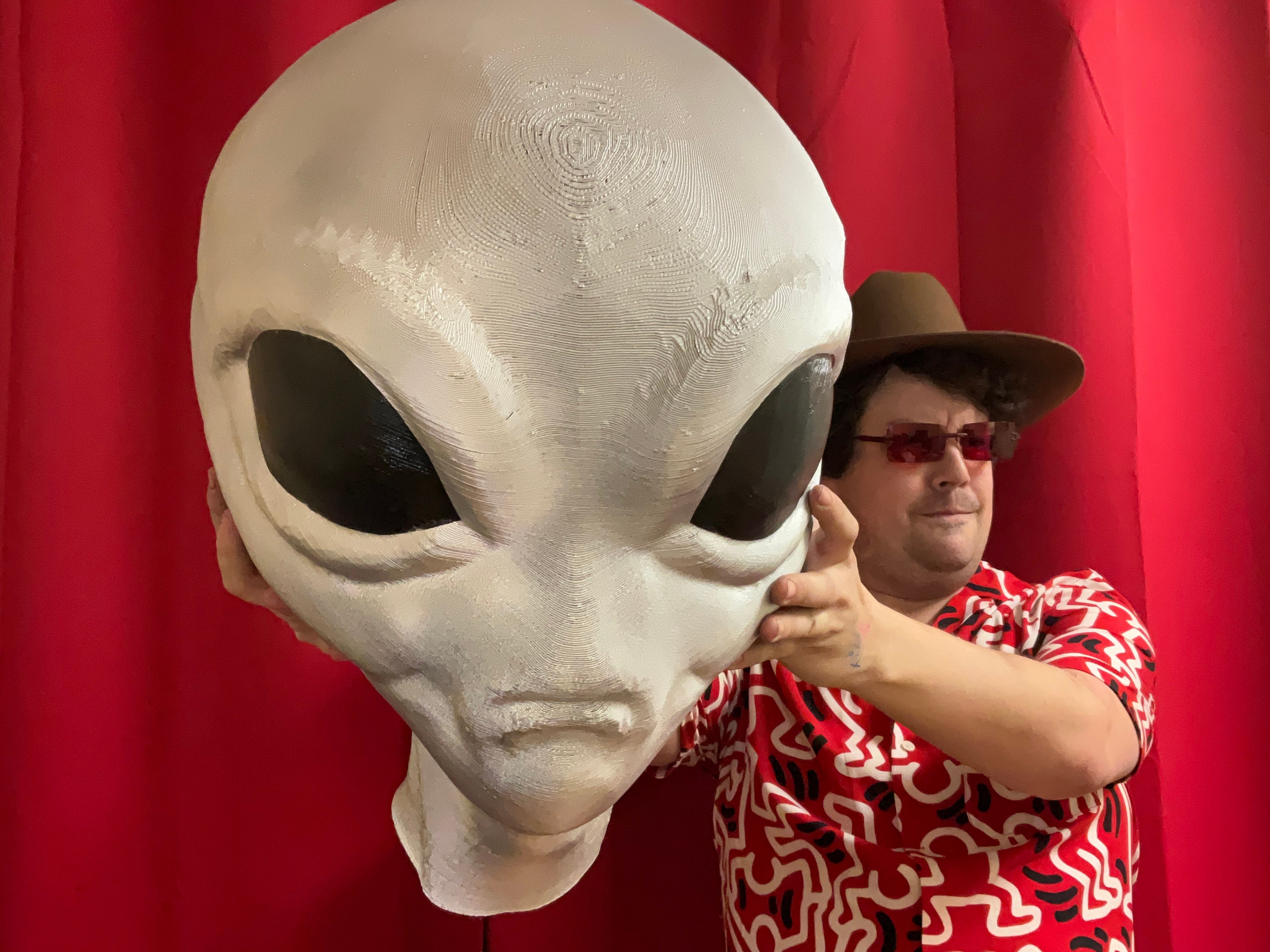 Alien Wall Art - WORLD'S LARGEST Extraterrestrial Head & Hands, Unique ...