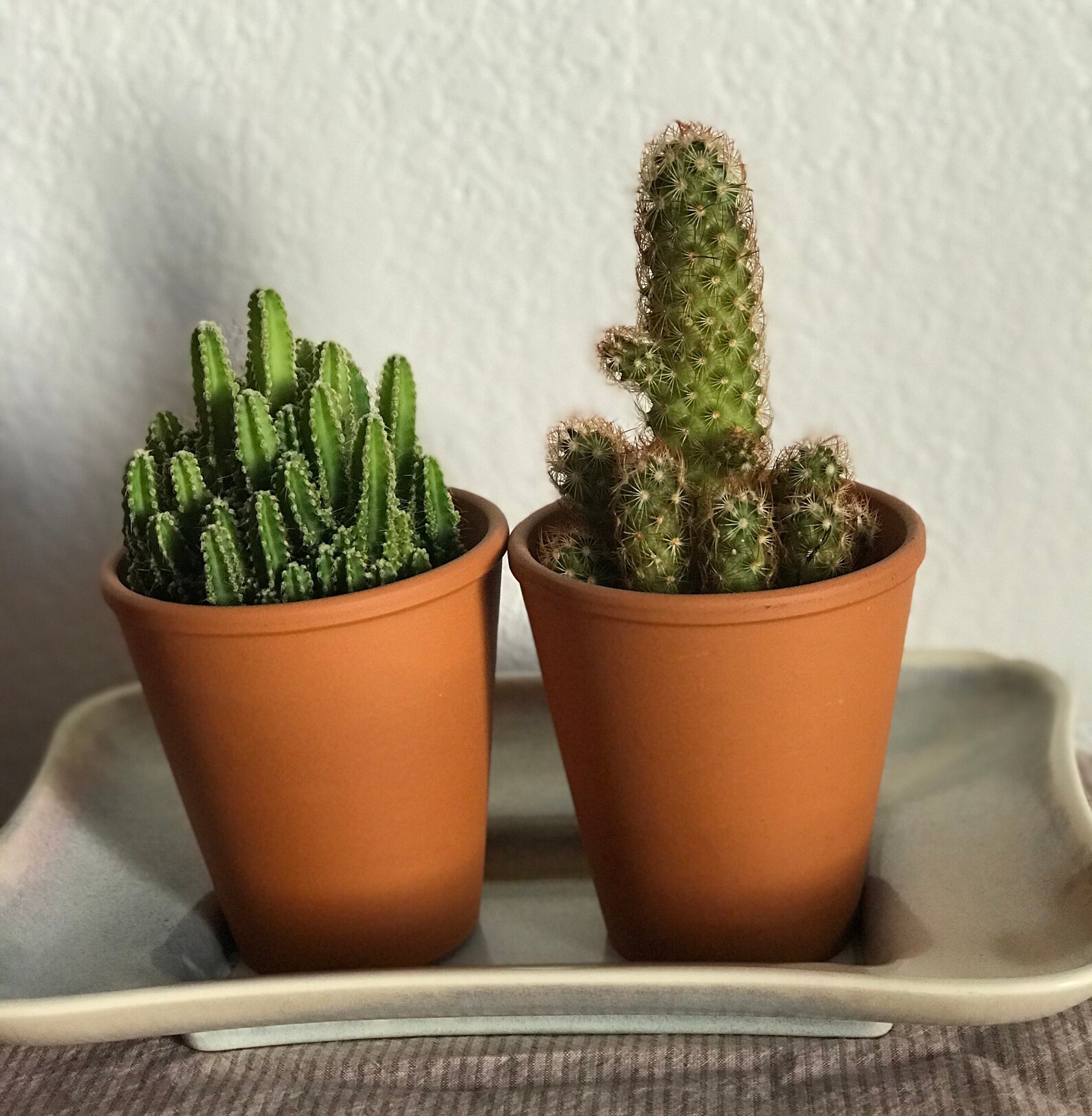 Catalina Pottery White Clay Glazed Art Ware Platter Made by Gladding ...