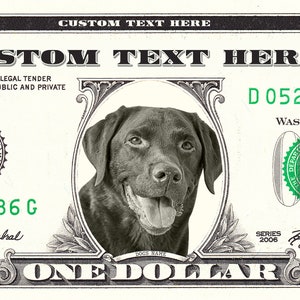 Your Pet on a Dollar Custom Dollar Bill, Dog Dollar Bills, Puppy, Dog ...