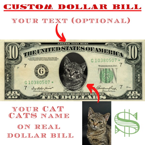 Bill the Cat - Etsy