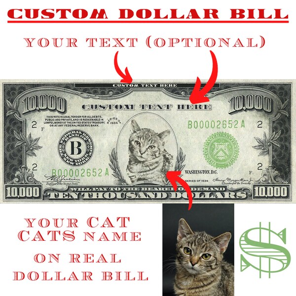 Cat Dollar Bill - Etsy