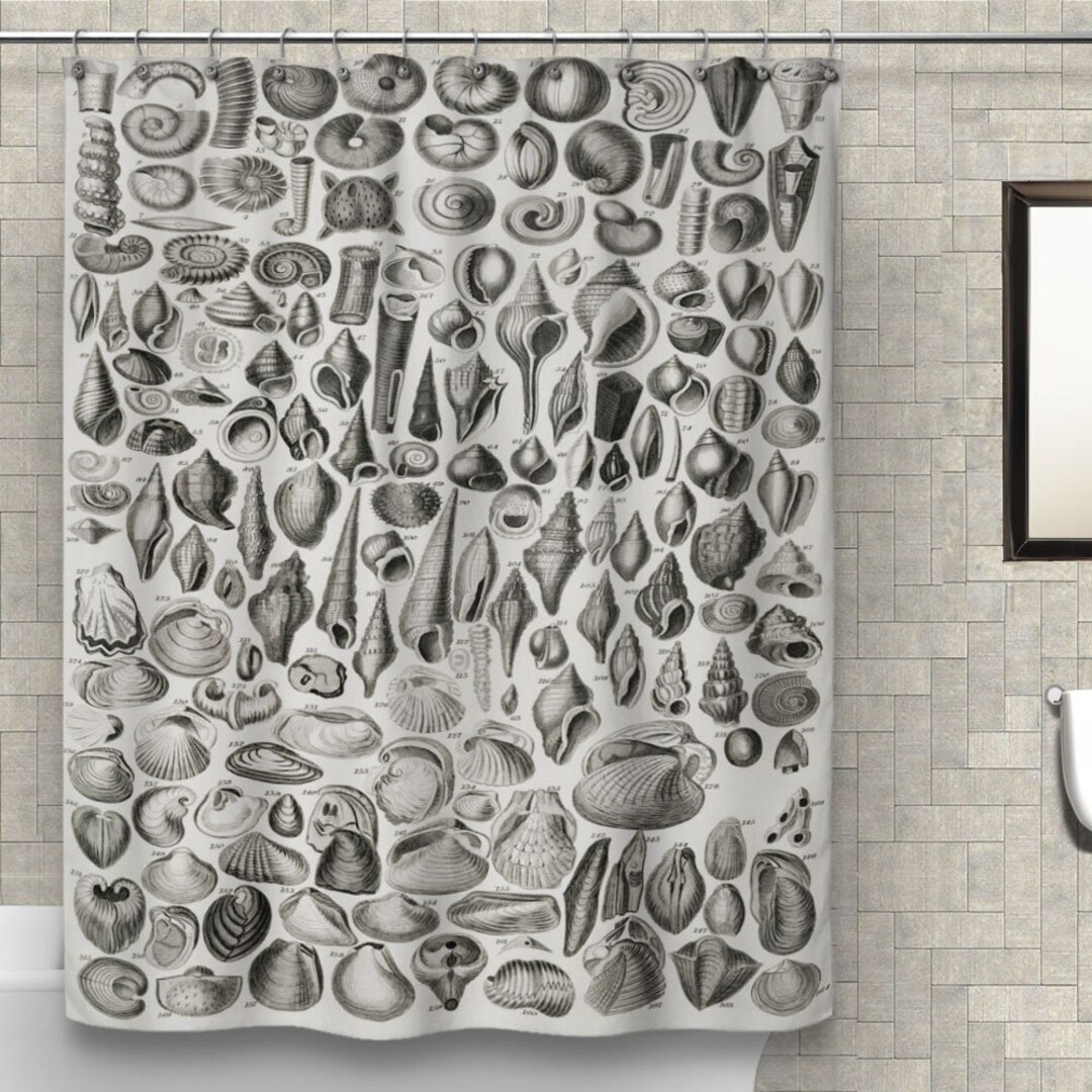 Classic Illustrated Seashells Shower Curtain - Waterproof Polyester ...