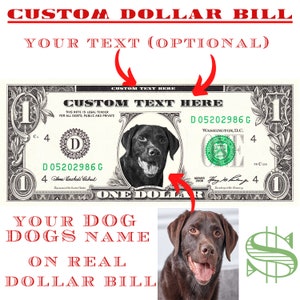 Your Pet on a Dollar Custom Dollar Bill, Dog Dollar Bills, Puppy, Dog ...